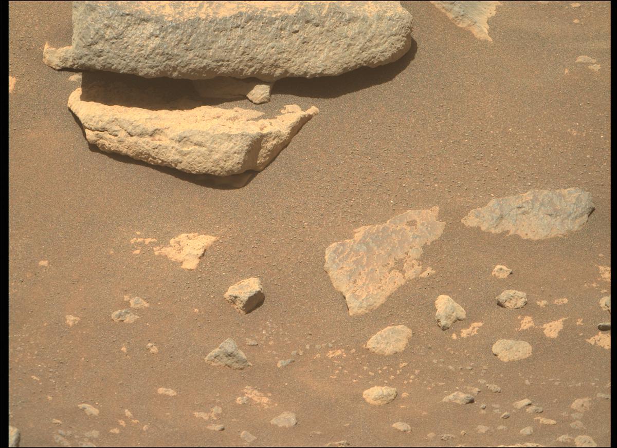 Images from the Mars Perseverance Rover - NASA Mars