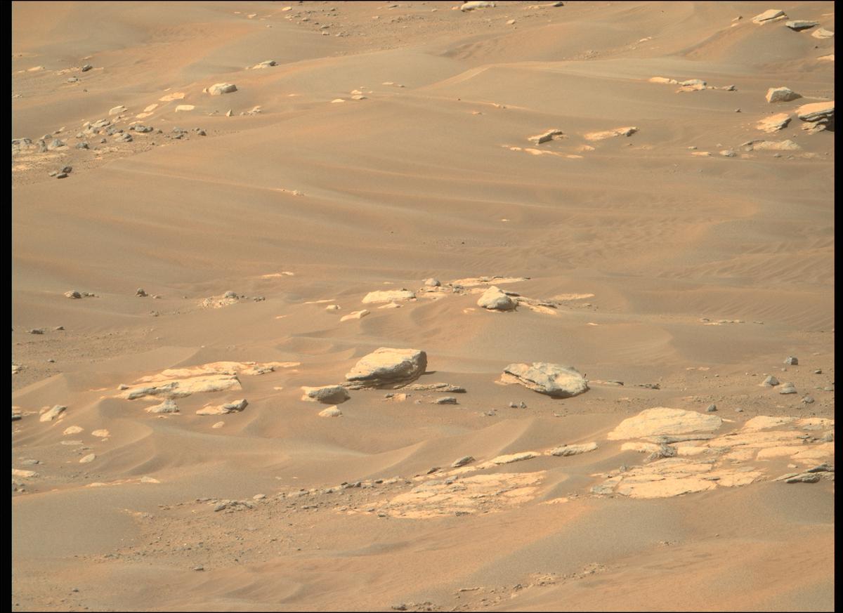 Images from the Mars Perseverance Rover - NASA Mars