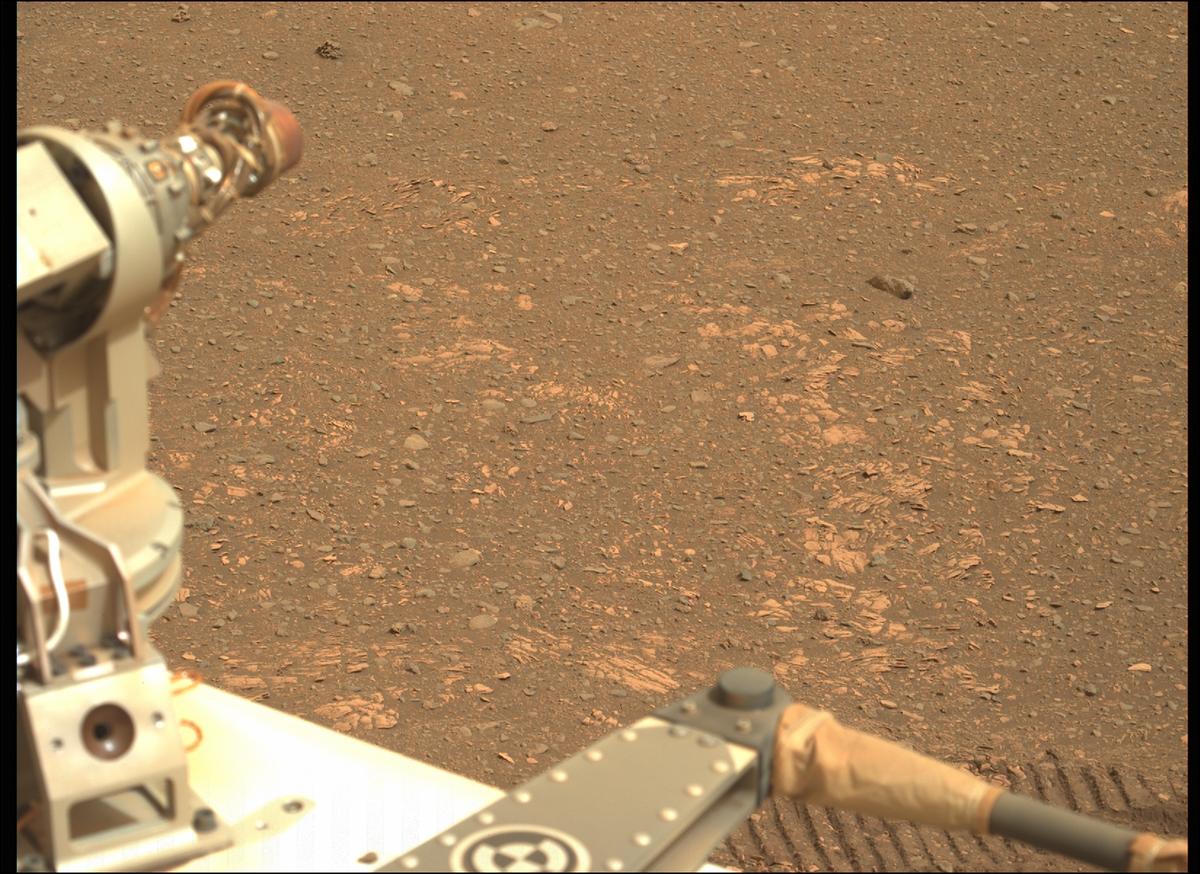 Images from the Mars Perseverance Rover - NASA Mars