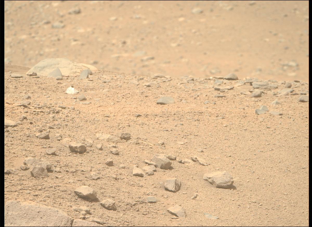 Images from the Mars Perseverance Rover - NASA Mars
