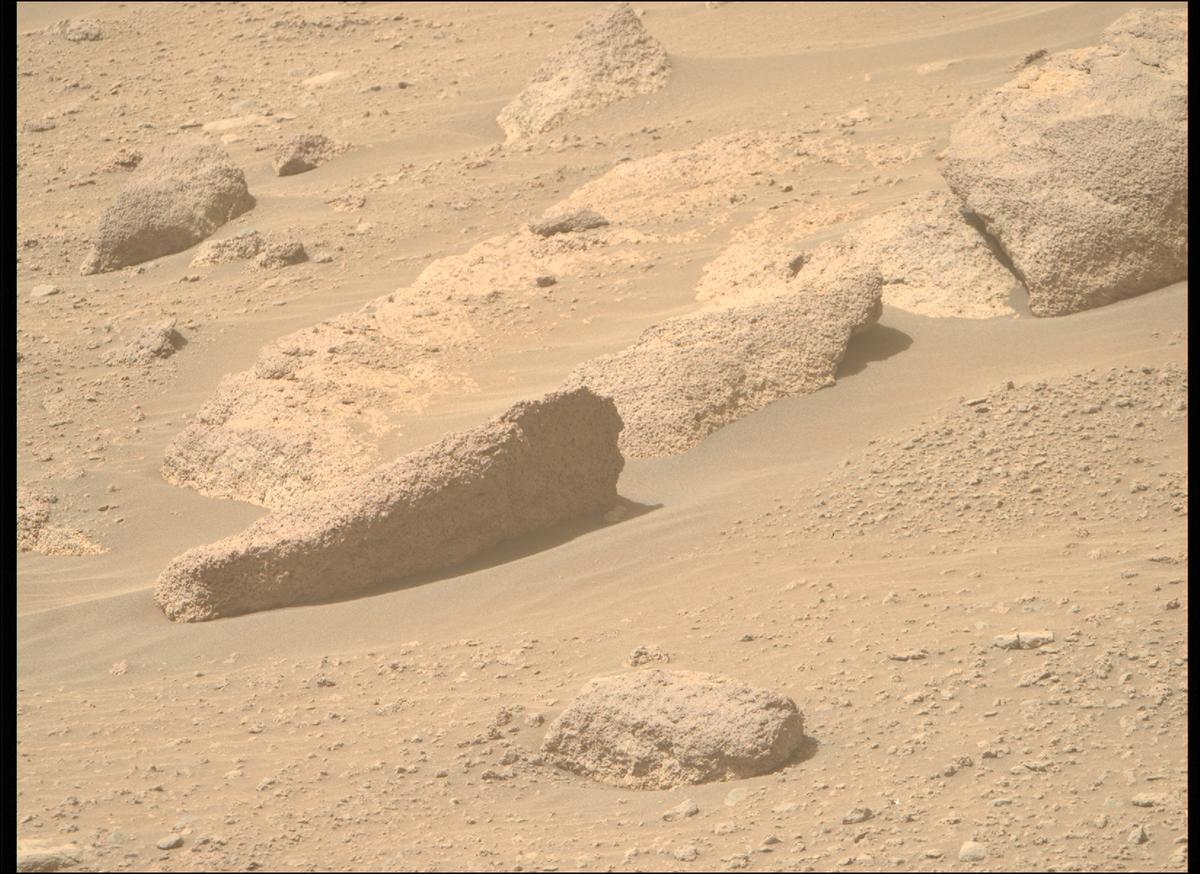 Images from the Mars Perseverance Rover - NASA Mars