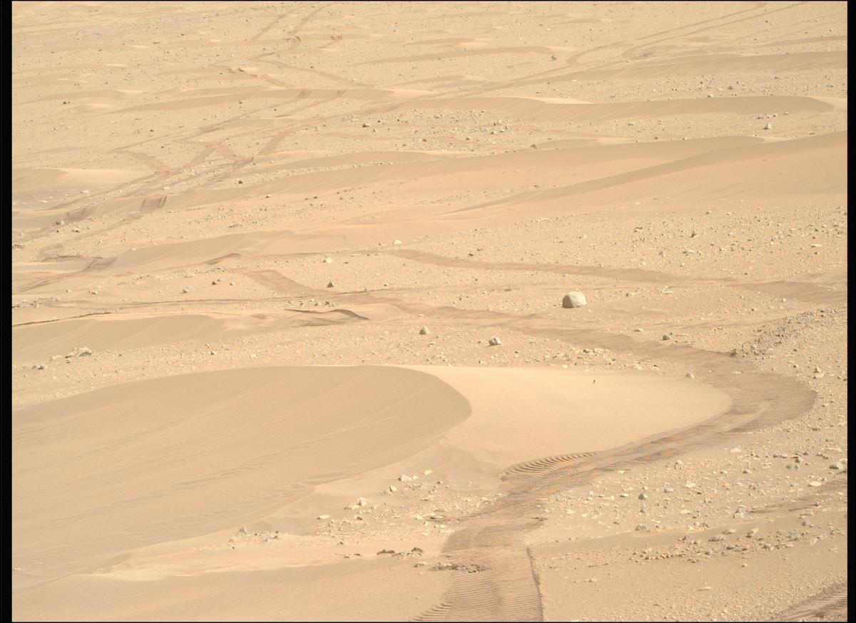 Images from the Mars Perseverance Rover - NASA Mars