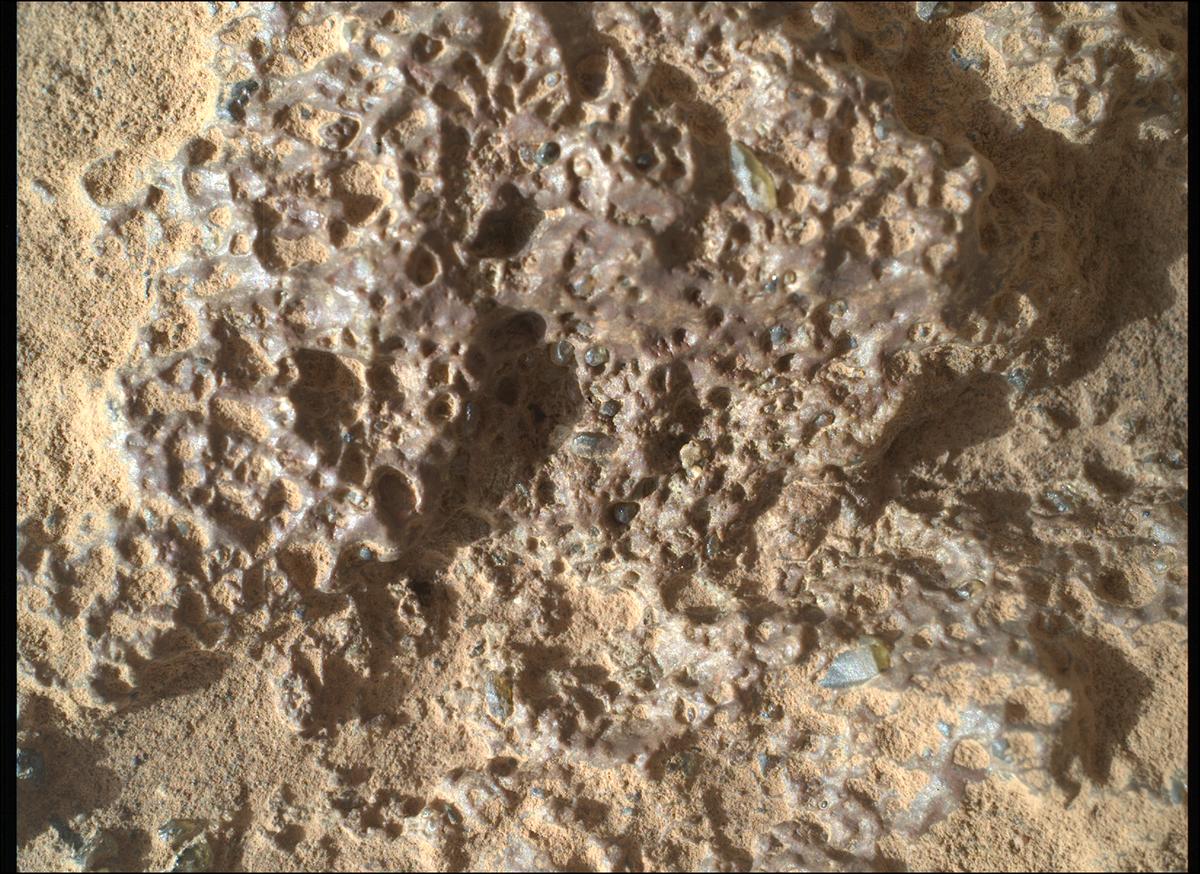 Images from the Mars Perseverance Rover - NASA Mars