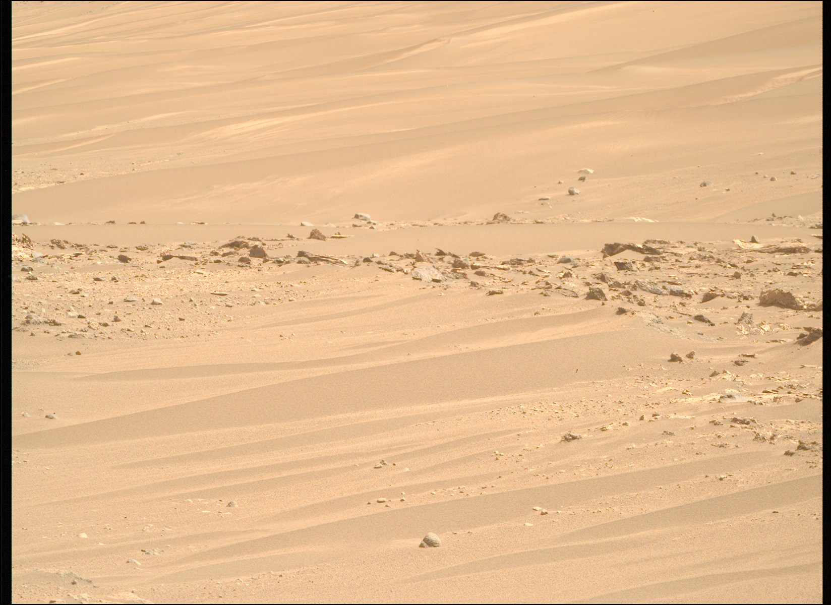 Images from the Mars Perseverance Rover - NASA Mars