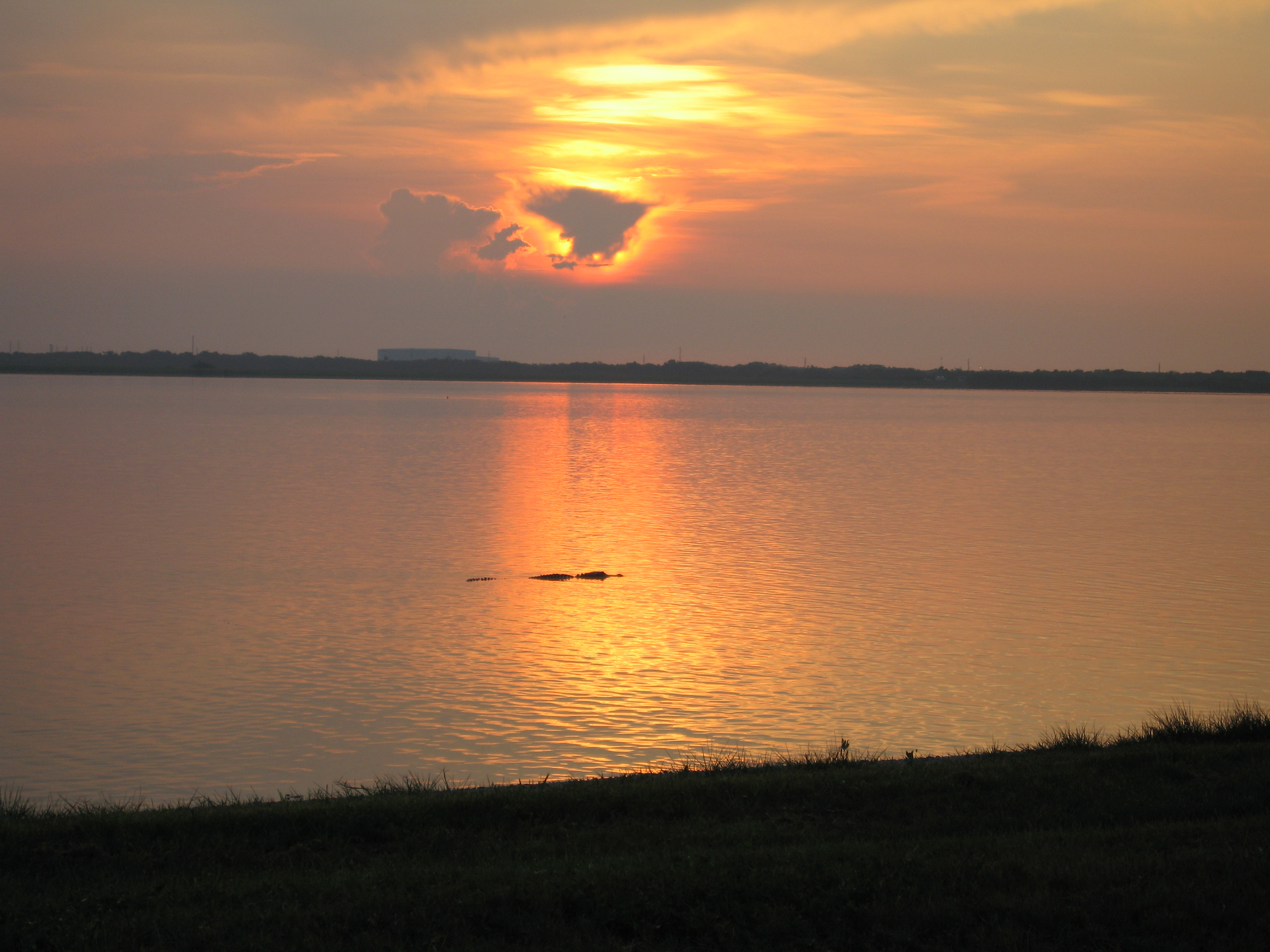 Gator Wakes for Launch – NASA Mars Exploration
