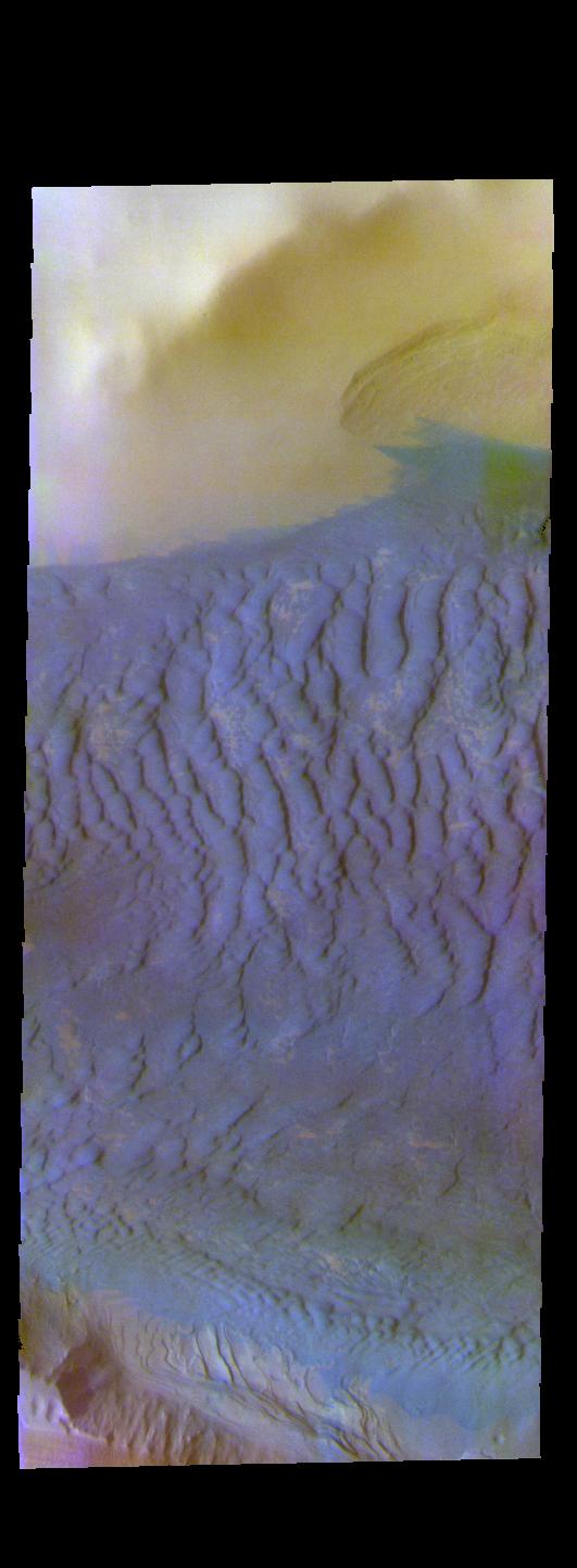 Dunes Near the South Pole - False Color – NASA Mars Exploration