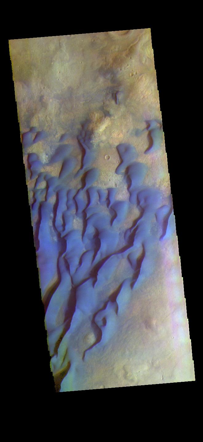 Kaiser Crater Dunes - False Color – NASA Mars Exploration
