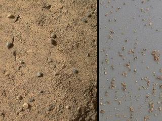 Bone Mars Nasa